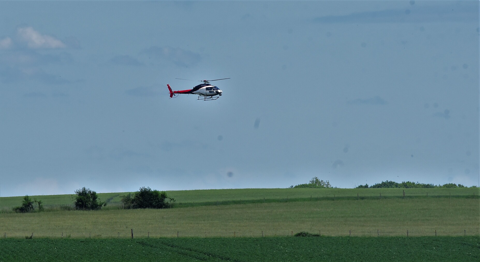 dh121 – Hola Hageland